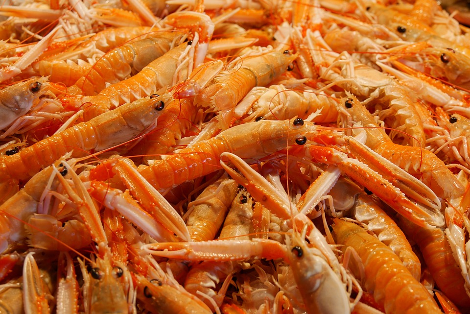 Shrimp Boats: Everything You Need To Know